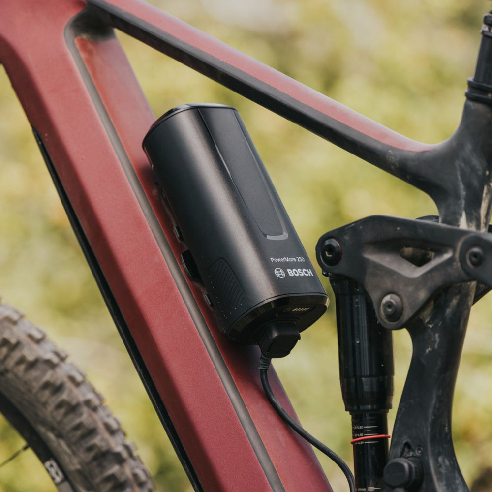 How to Properly Care for Your Bosch eBike Battery - Scooteretti